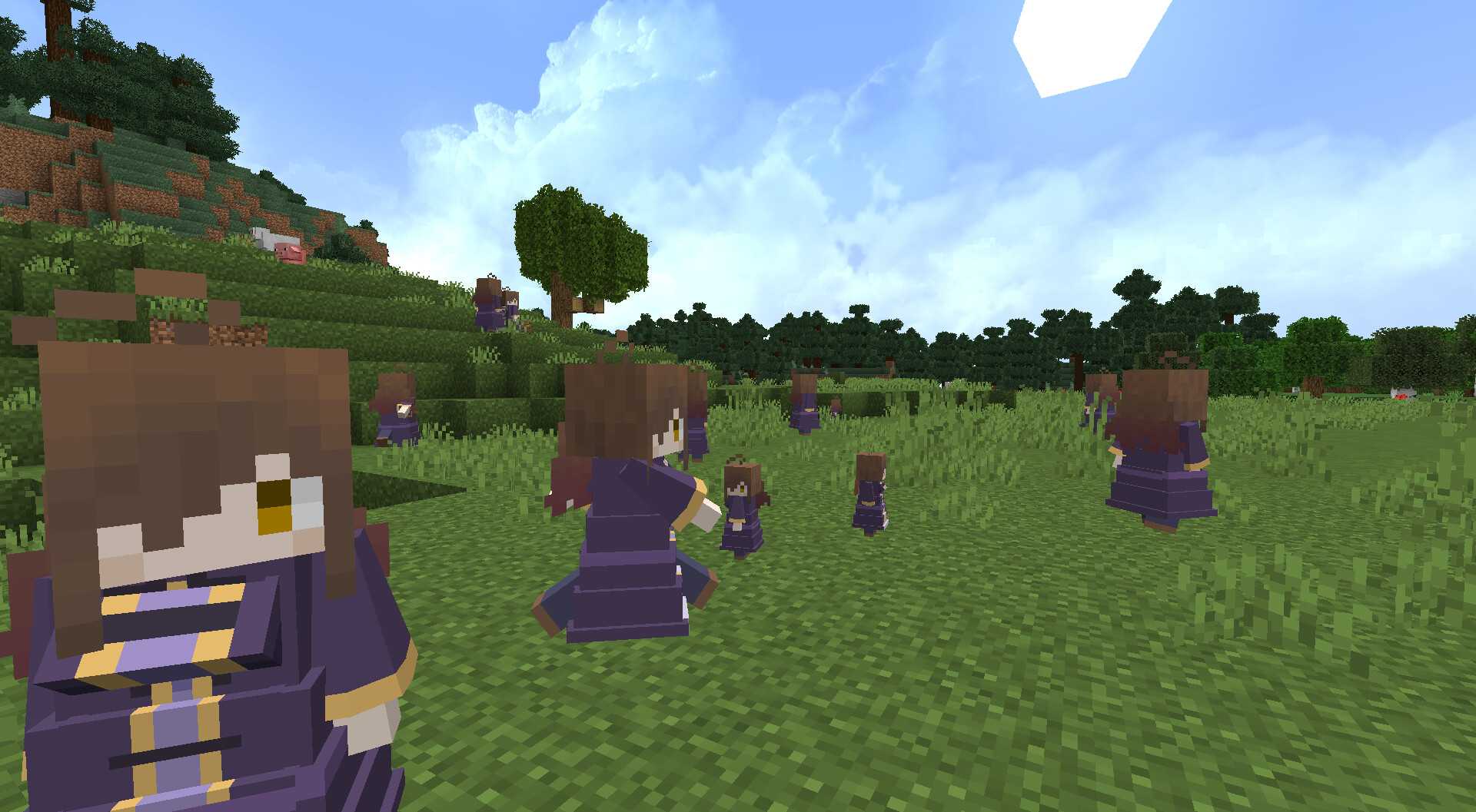 Wiz From Konosuba In Minecraft (Optifine Resource Pack) Minecraft ...