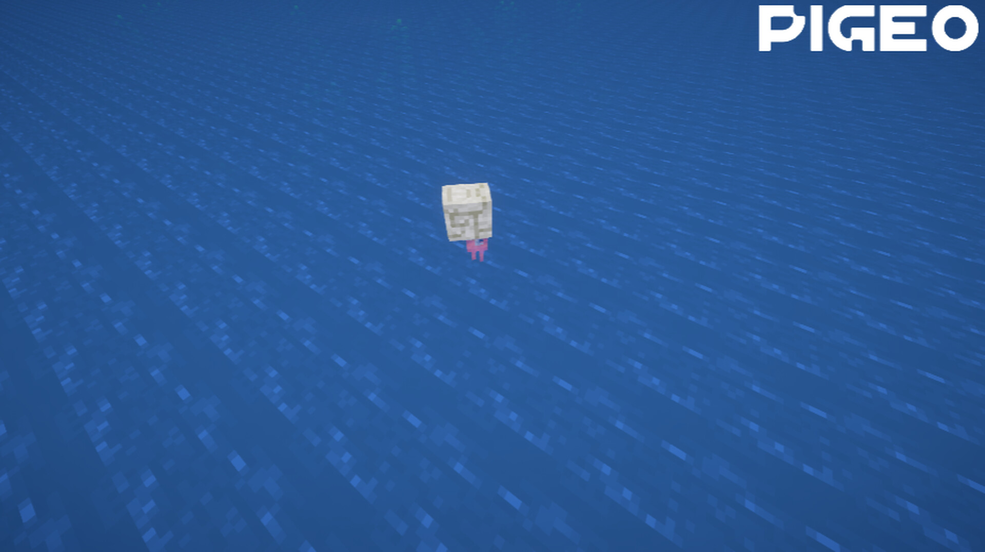 Nautilus squid Minecraft Texture Pack