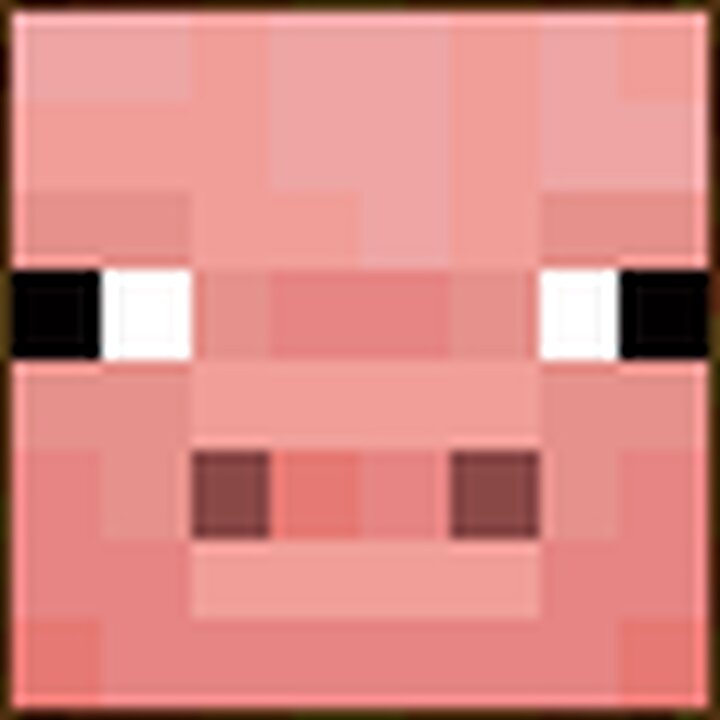 Minecraft Pig Face Template