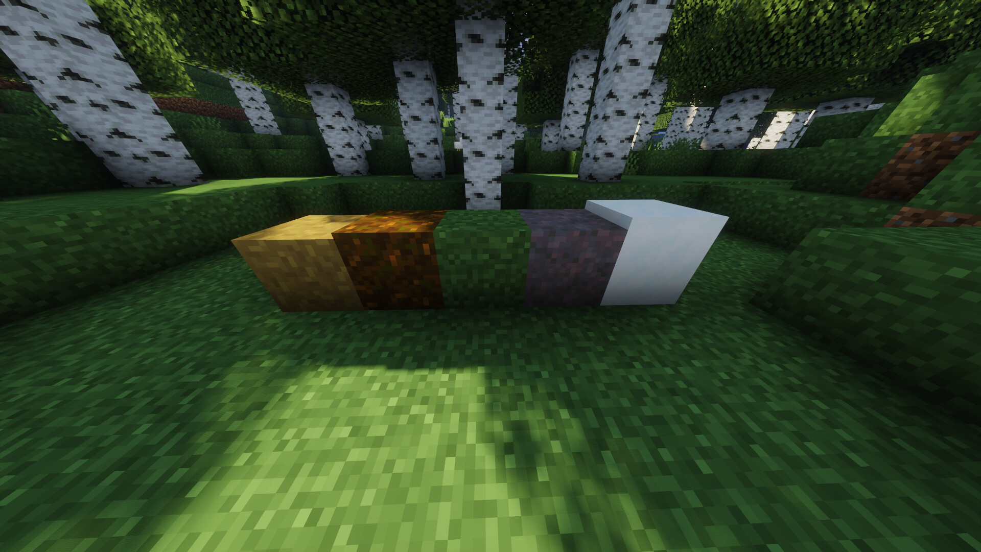 Better Grass for 1.16 - 1.18.1 + Minecraft Texture Pack