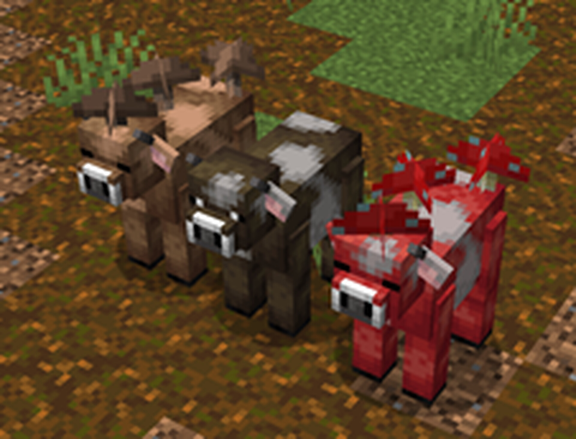 Chubby Cheeks Minecraft Texture Pack