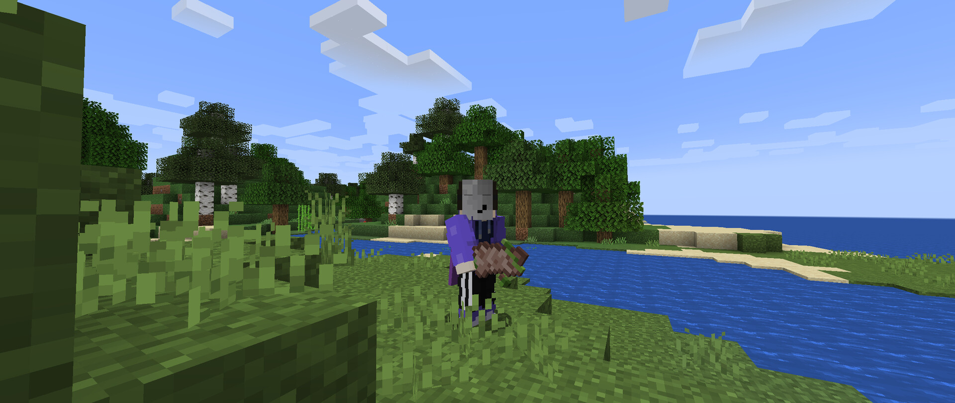 Iron's Swords Minecraft Texture Pack