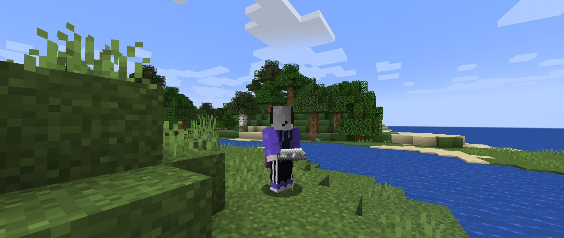 Iron's Swords Minecraft Texture Pack