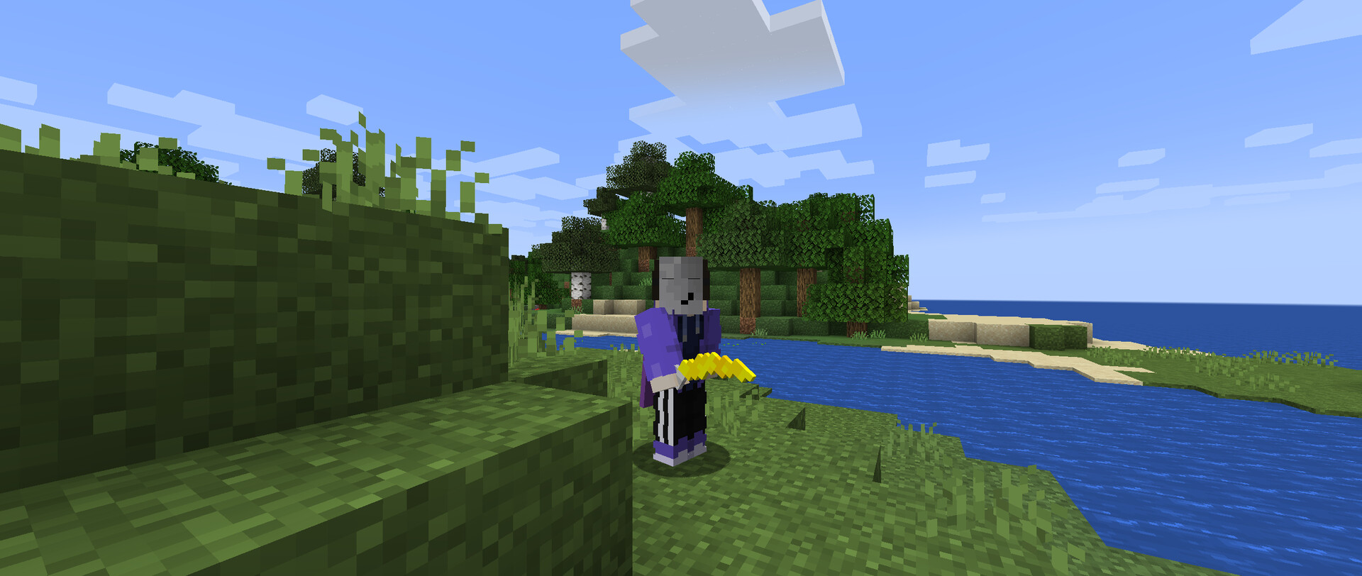 Iron's Swords Minecraft Texture Pack