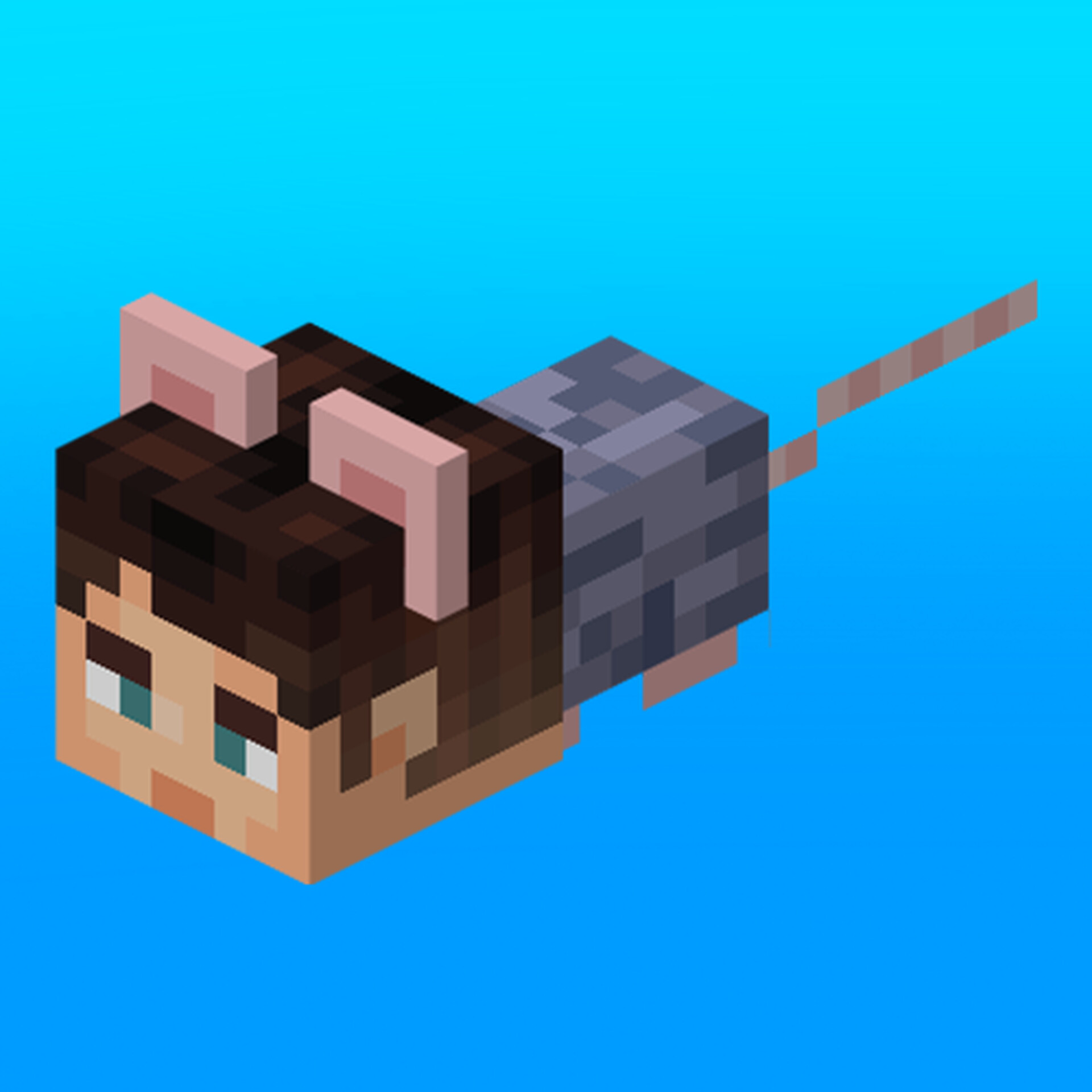 Kingbdogz rat Minecraft Texture Pack