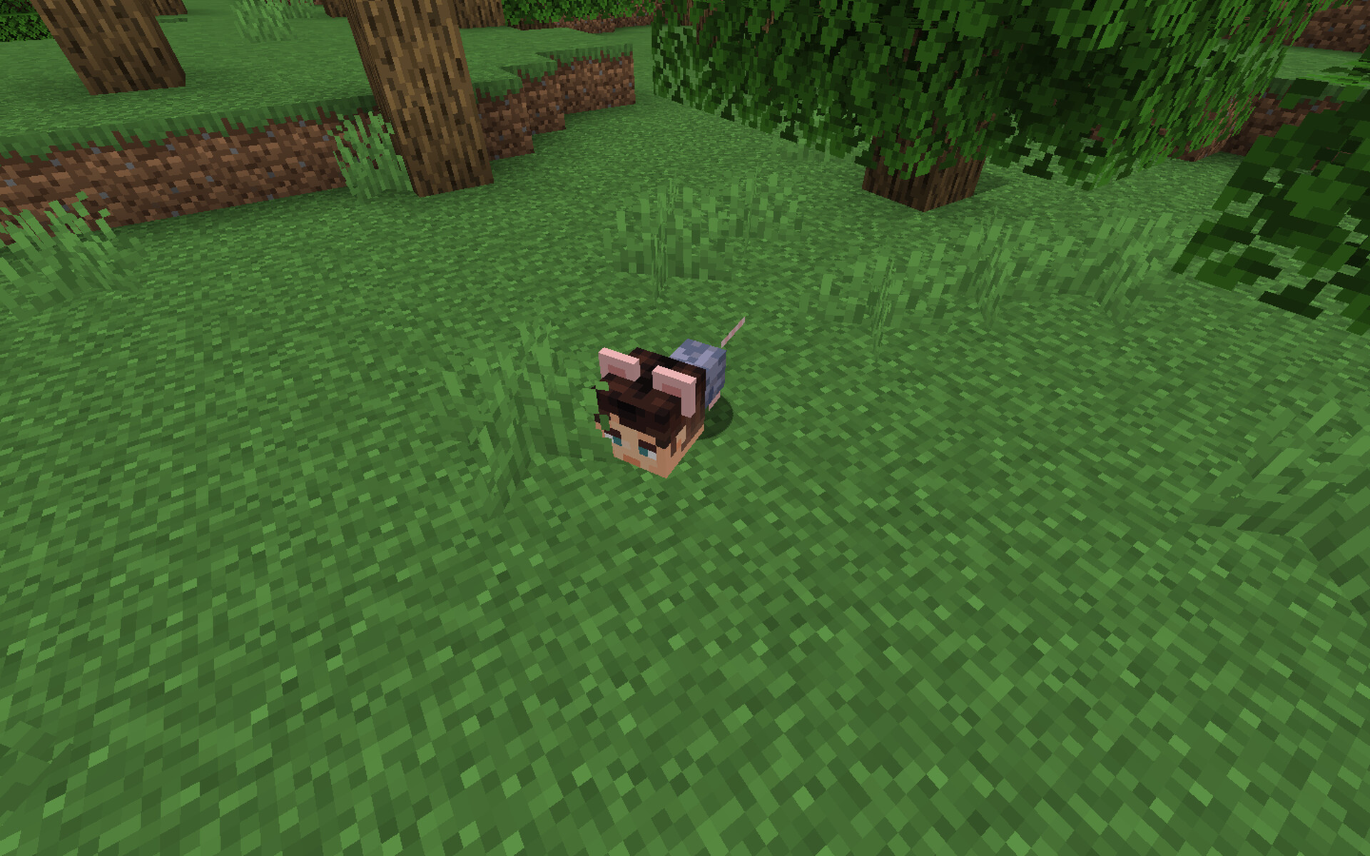 Kingbdogz rat Minecraft Texture Pack