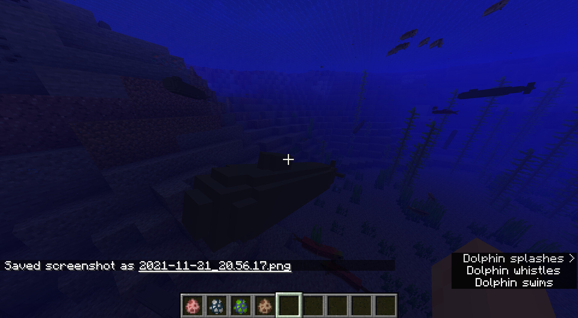 submersible dolphins Minecraft Texture Pack