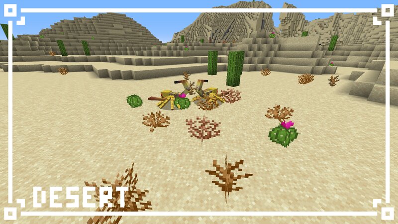 Shrimpsnails Biomes+ - v1.3 Minecraft Texture Pack