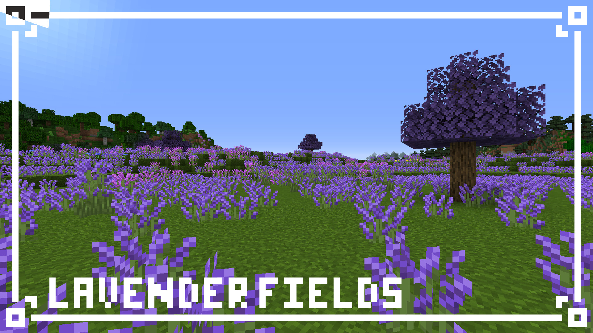 Shrimpsnails Biomes+ - v1.3 Minecraft Texture Pack