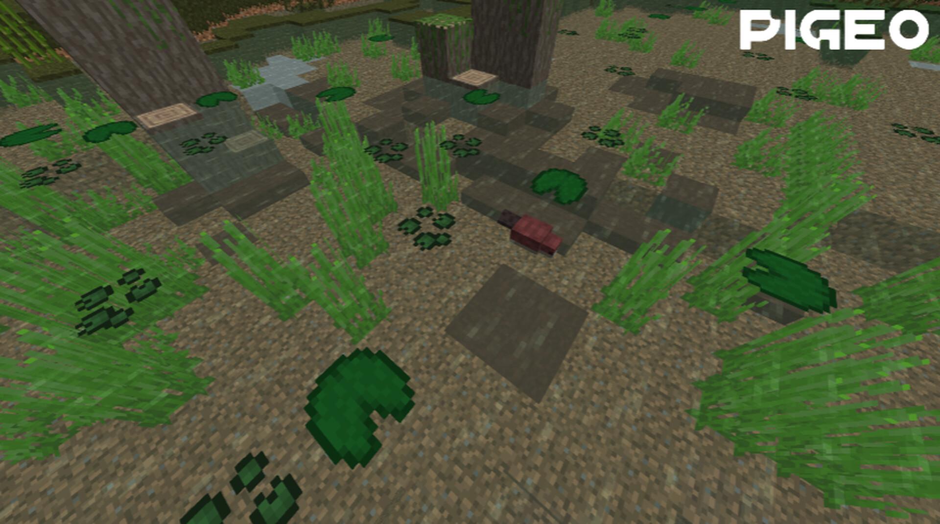 cod beaver Minecraft Texture Pack