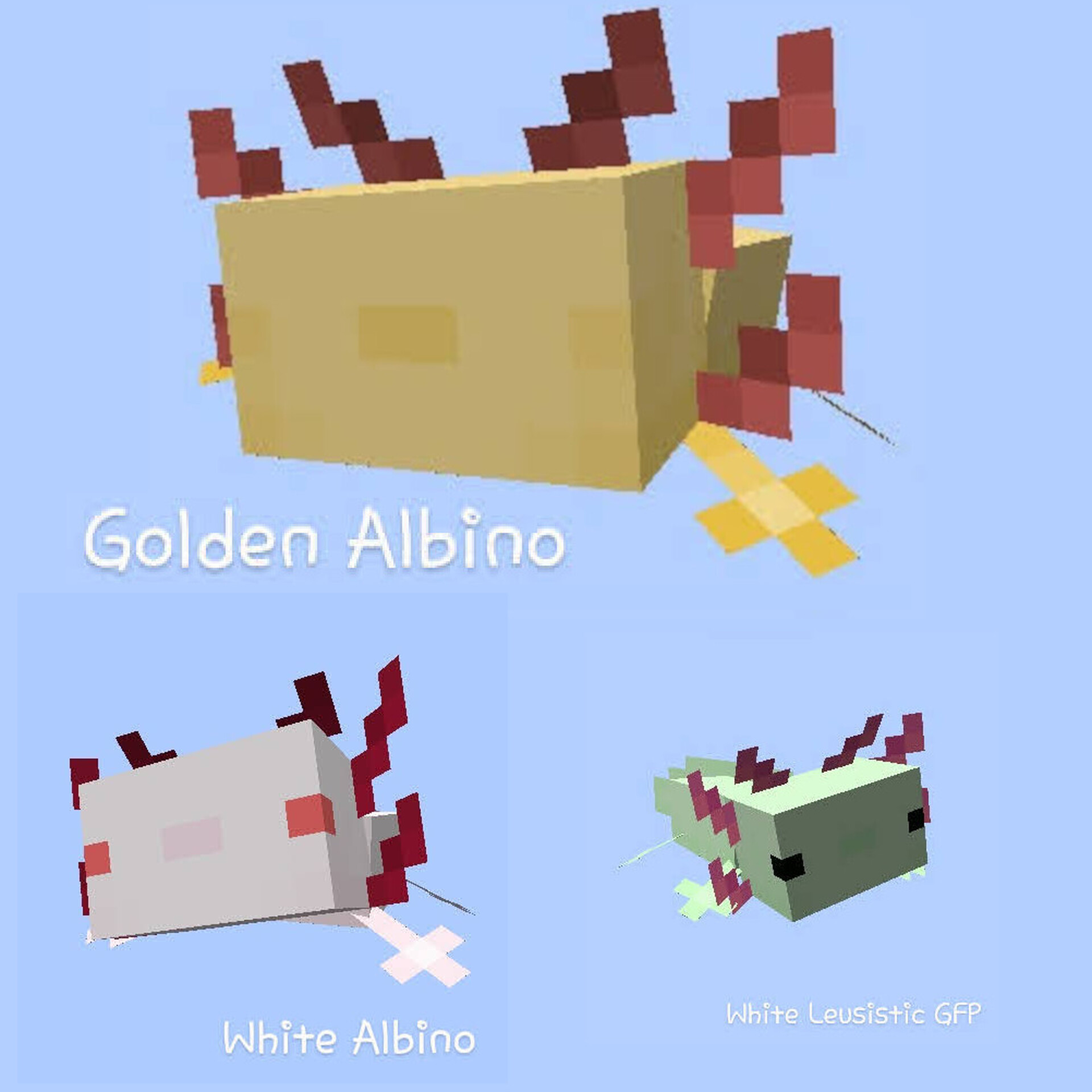 Realistic Axolotl Morphs! Minecraft Texture Pack