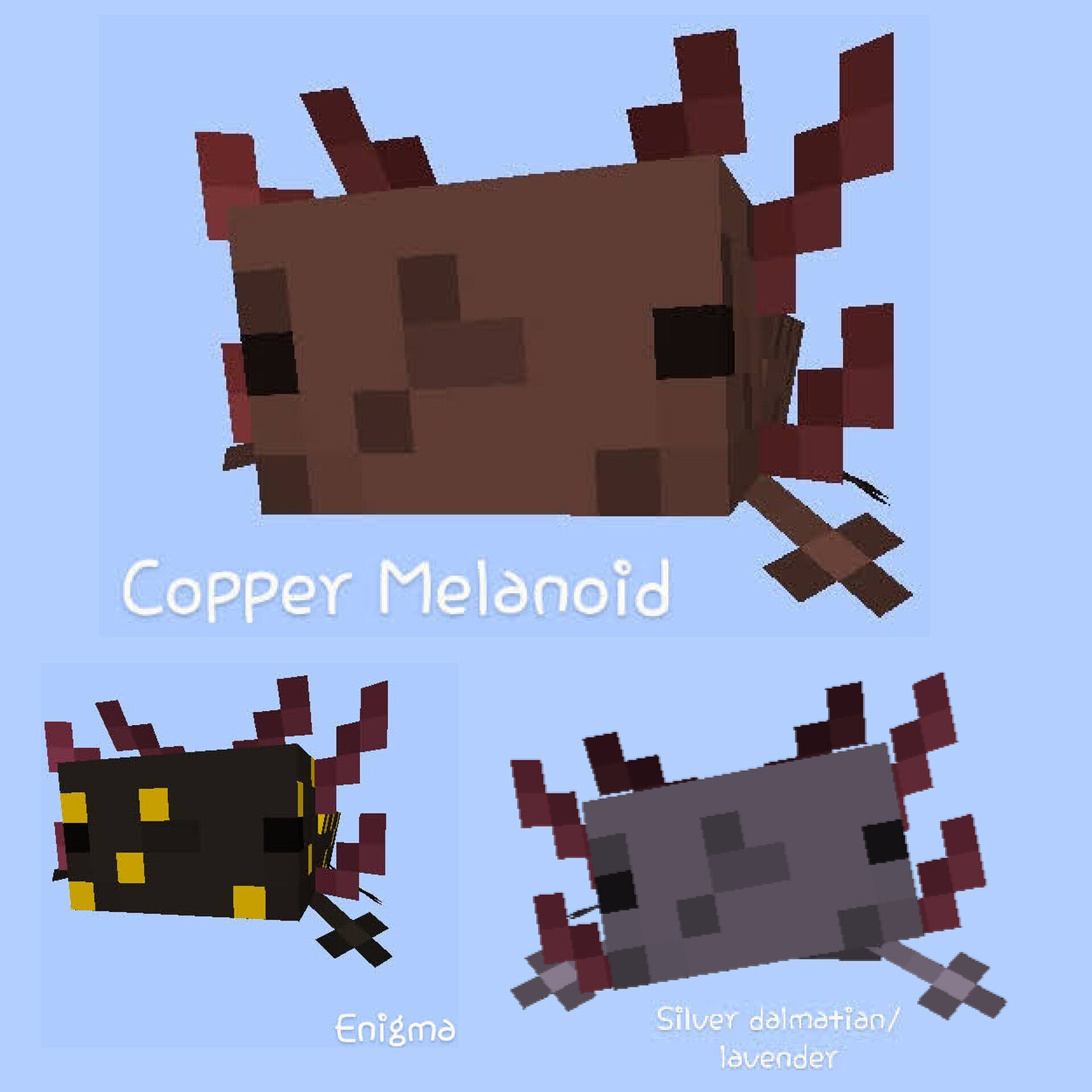 Realistic Axolotl Morphs! Minecraft Texture Pack