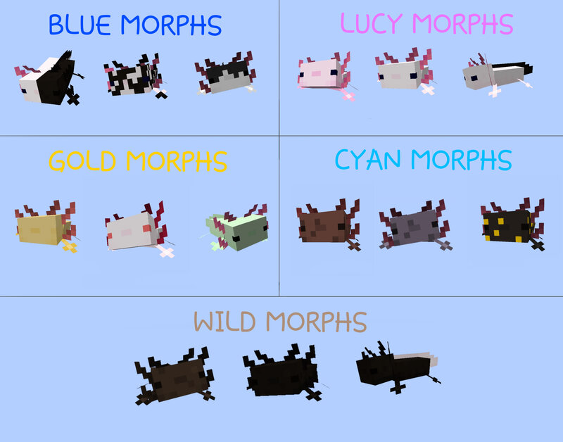 Realistic Axolotl Morphs! Minecraft Texture Pack