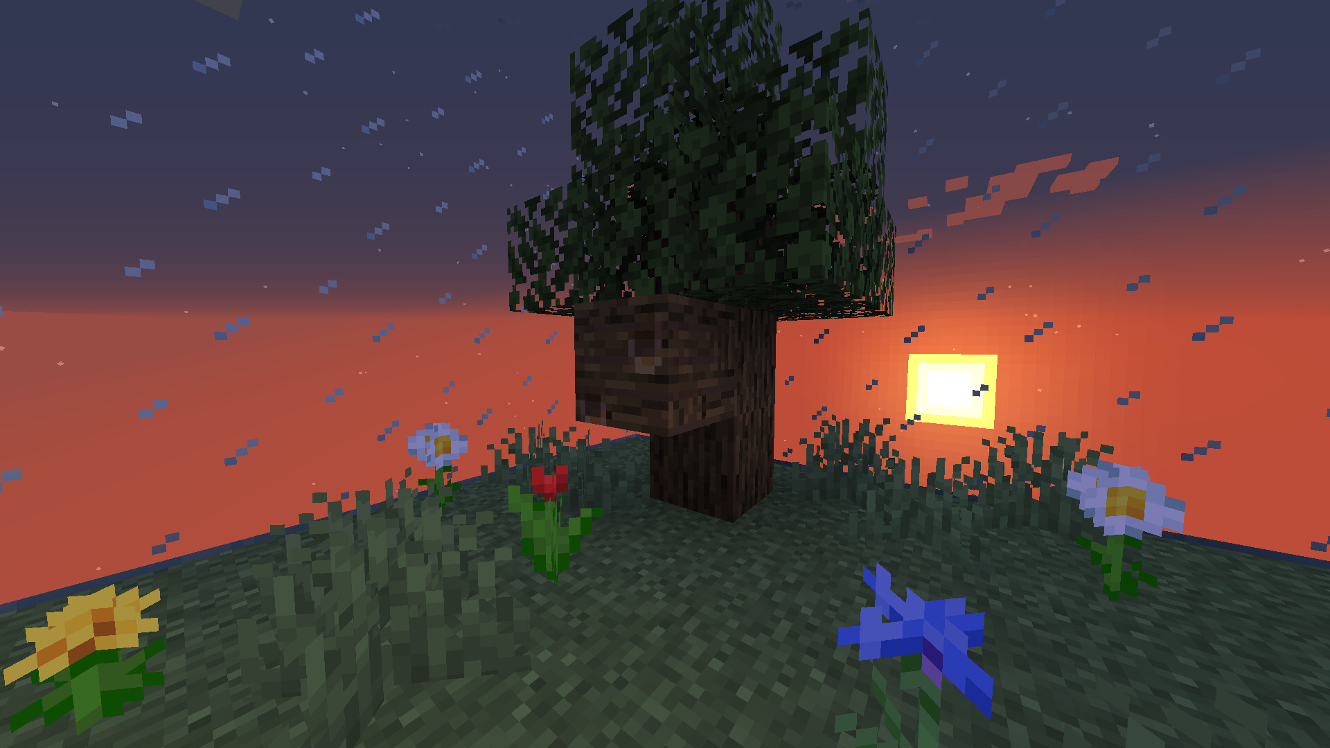 Hummingbirds Resource Pack Minecraft Texture Pack