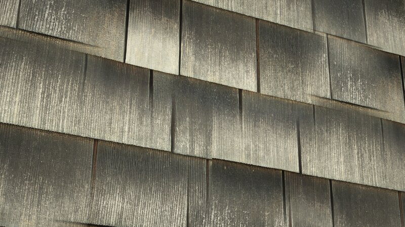 Close-Up Pack [256x-2048x] 100% FREE!! Minecraft Texture Pack