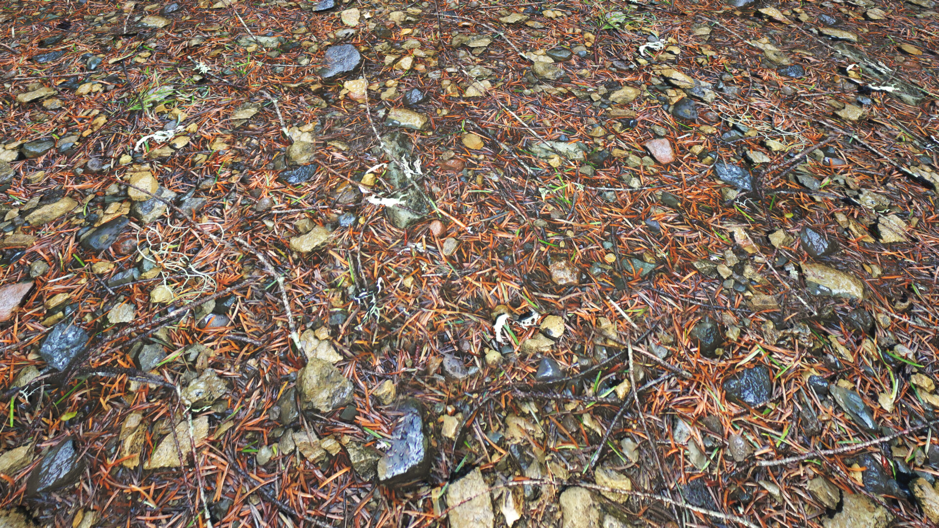 Close-Up Pack [256x-2048x] 100% FREE!! Minecraft Texture Pack