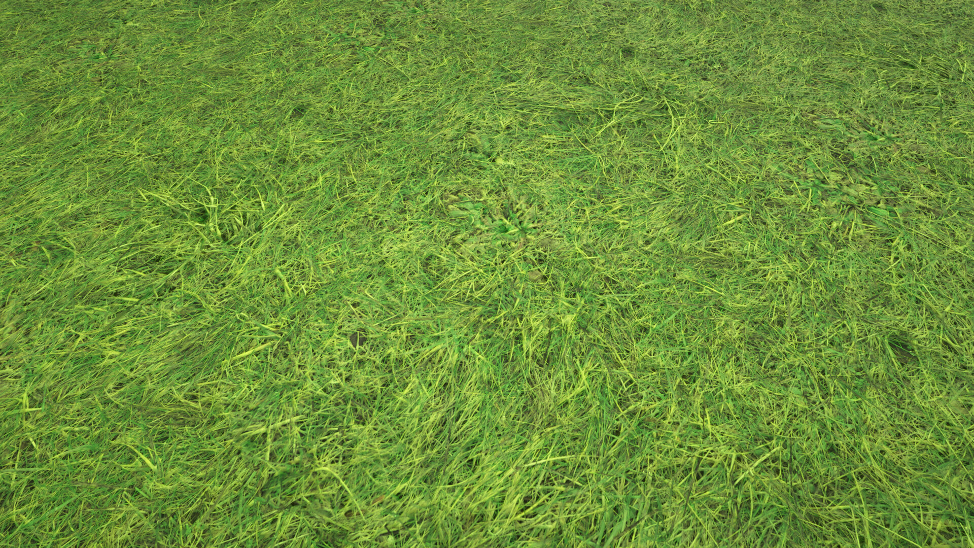 Close-Up Pack [256x-2048x] 100% FREE!! Minecraft Texture Pack