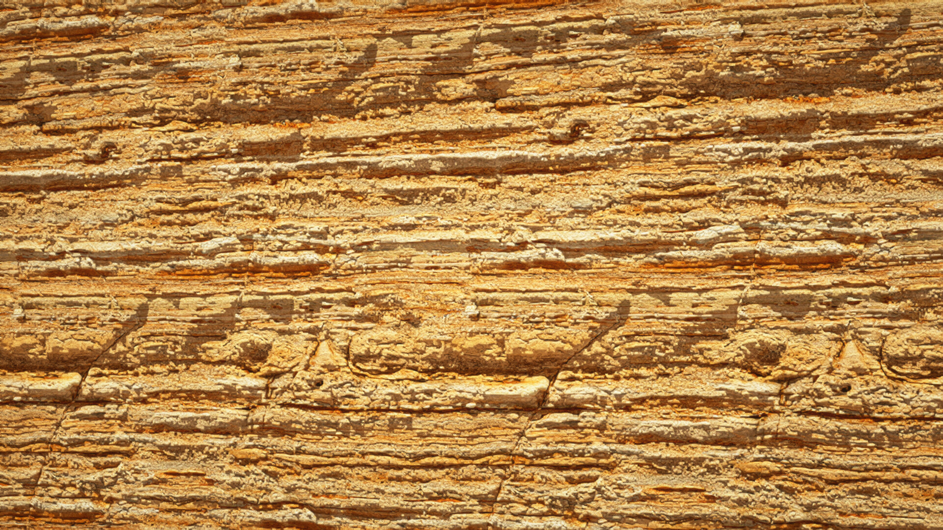 Close-Up Pack [256x-2048x] 100% FREE!! Minecraft Texture Pack