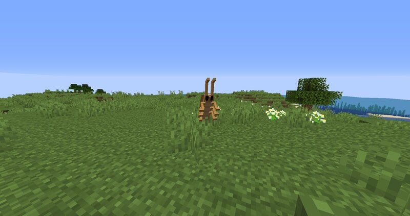 Dancing cockroach in minecraft Minecraft Texture Pack