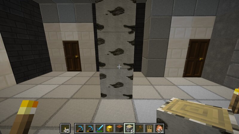 Birch Log Minecraft Texture Pack