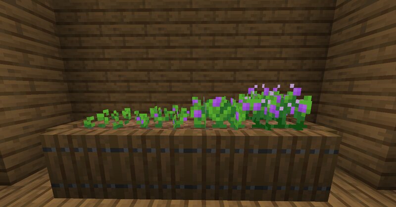 Beans Minecraft Texture Pack