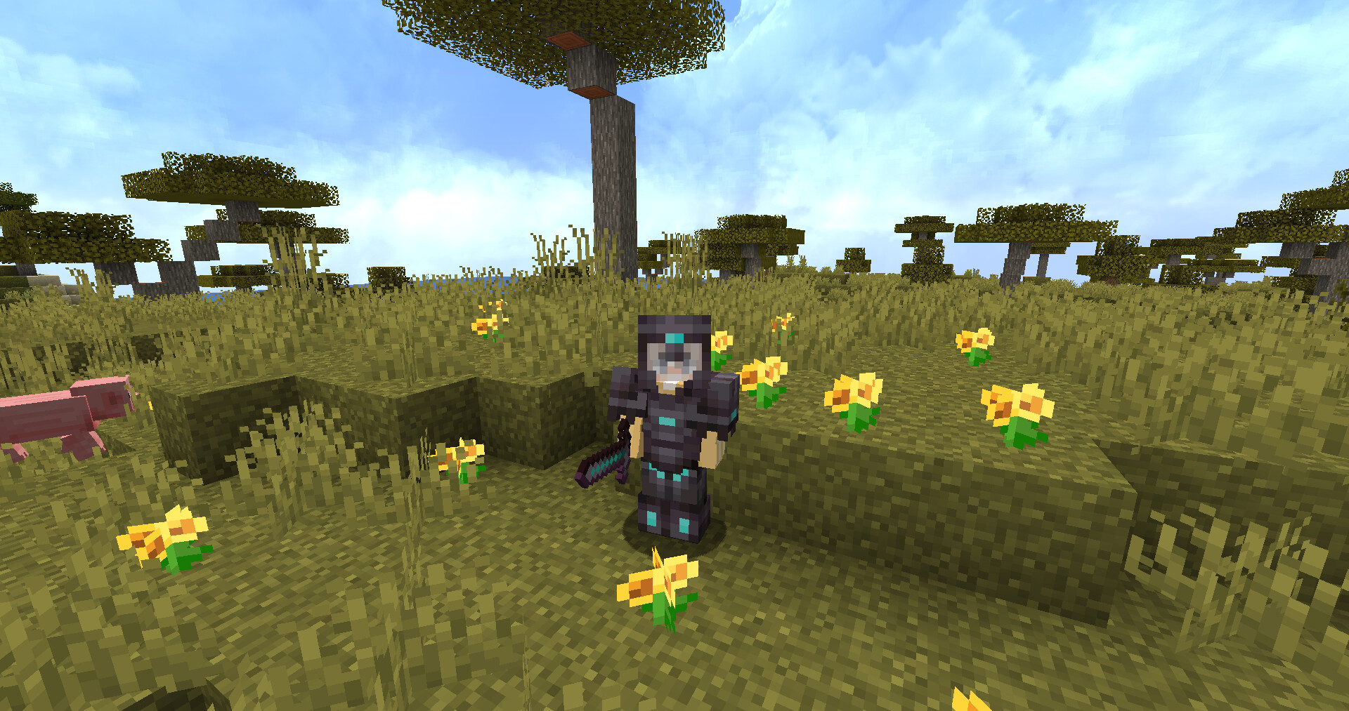 SoftieRobin's Bee Pack Minecraft Texture Pack