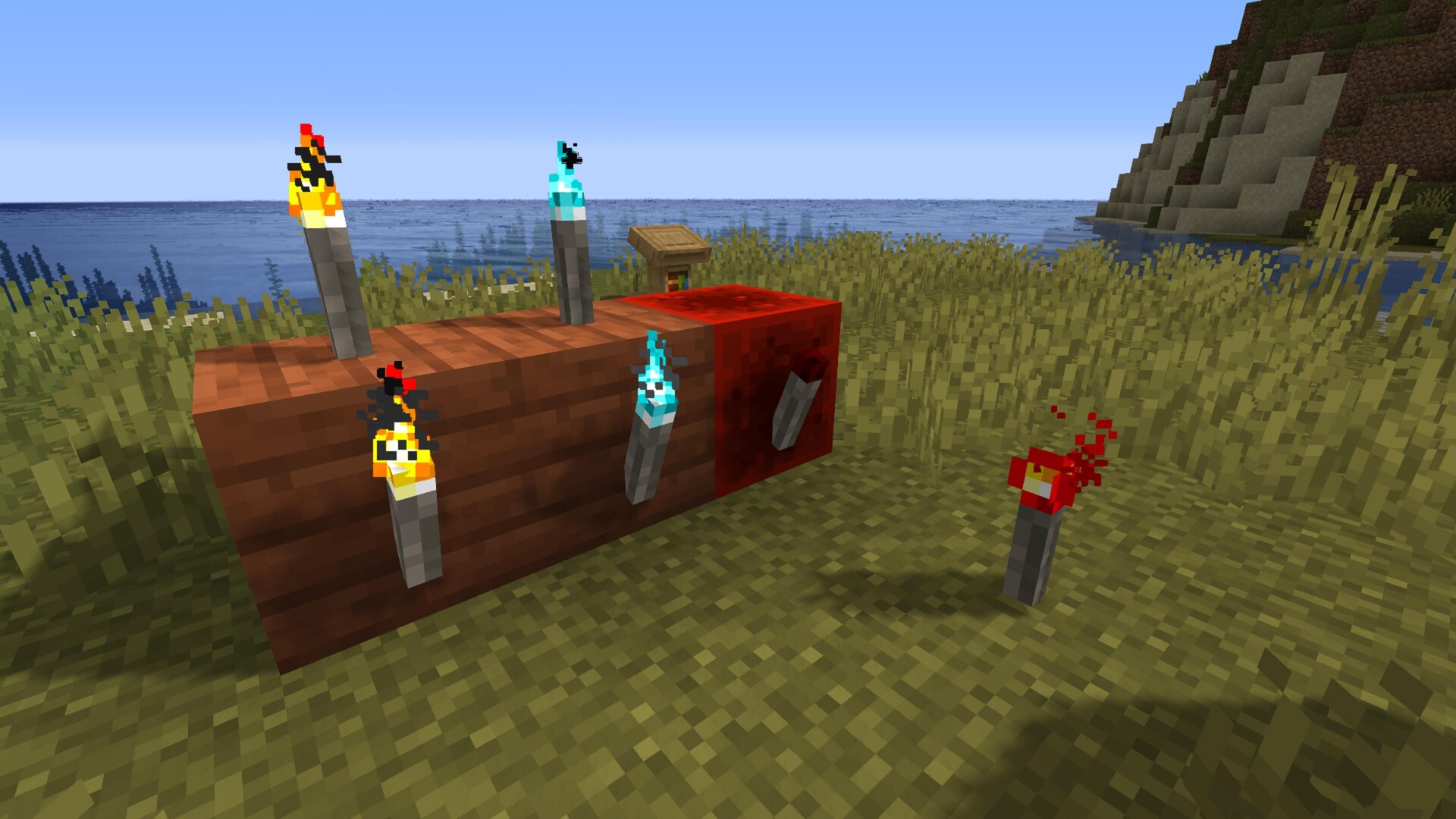 Biome-Dependent Torches (Optifine Required) Minecraft Texture Pack