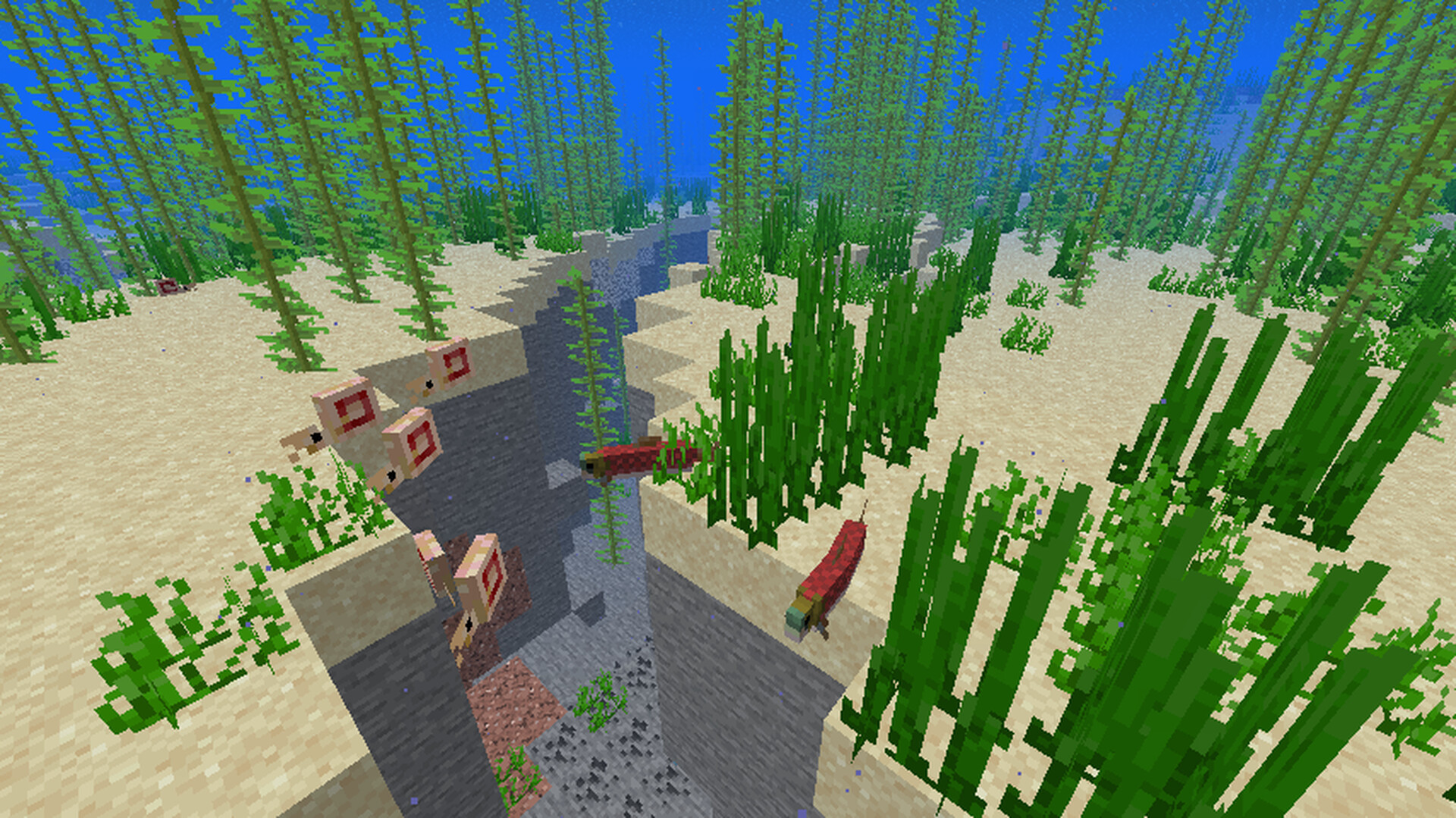 Nautilus Model for Cod Minecraft Texture Pack