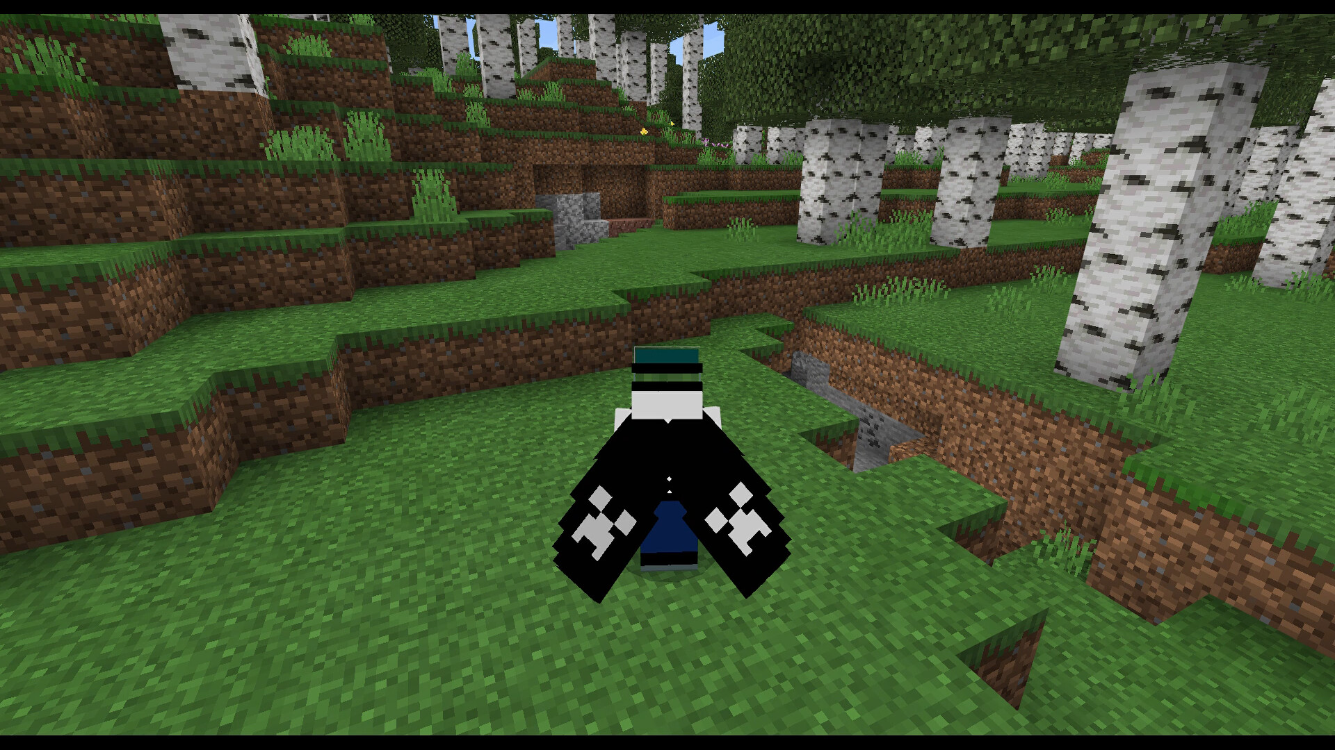 Advanced Elytra Minecraft Texture Pack