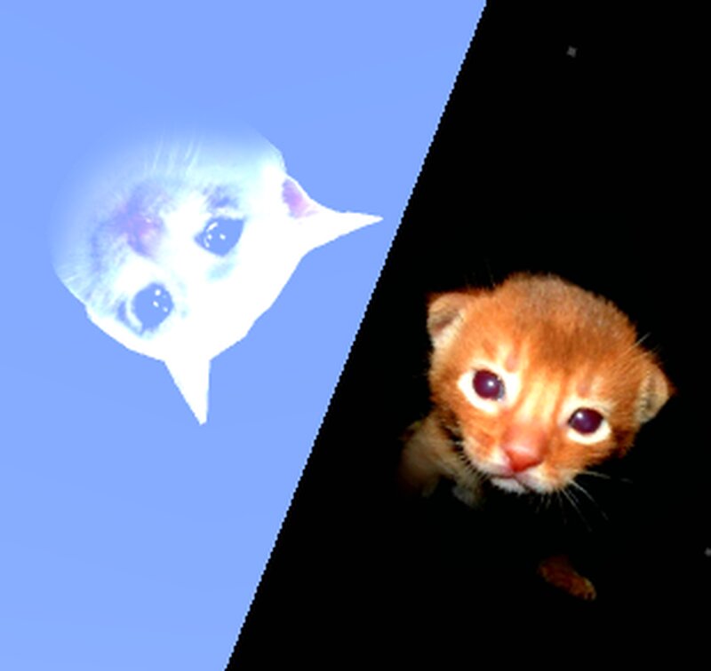 sun and moon to blursed cats Minecraft Texture Pack