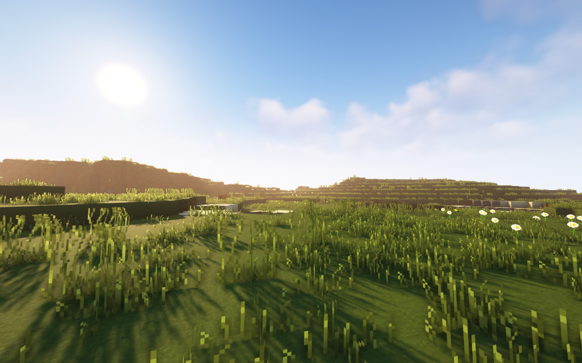 Night Sky Halloween Edition Minecraft Texture Pack