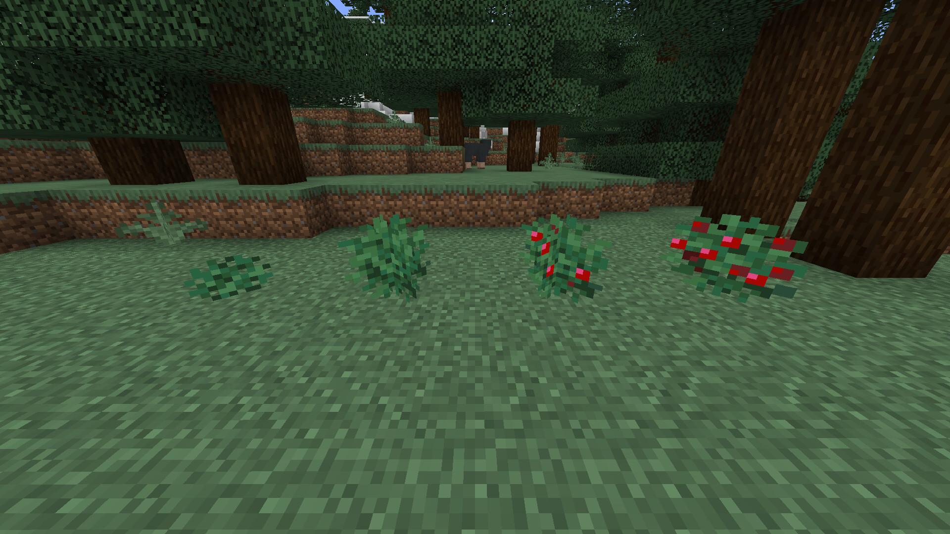 Block Berry Bushes Minecraft Texture Pack
