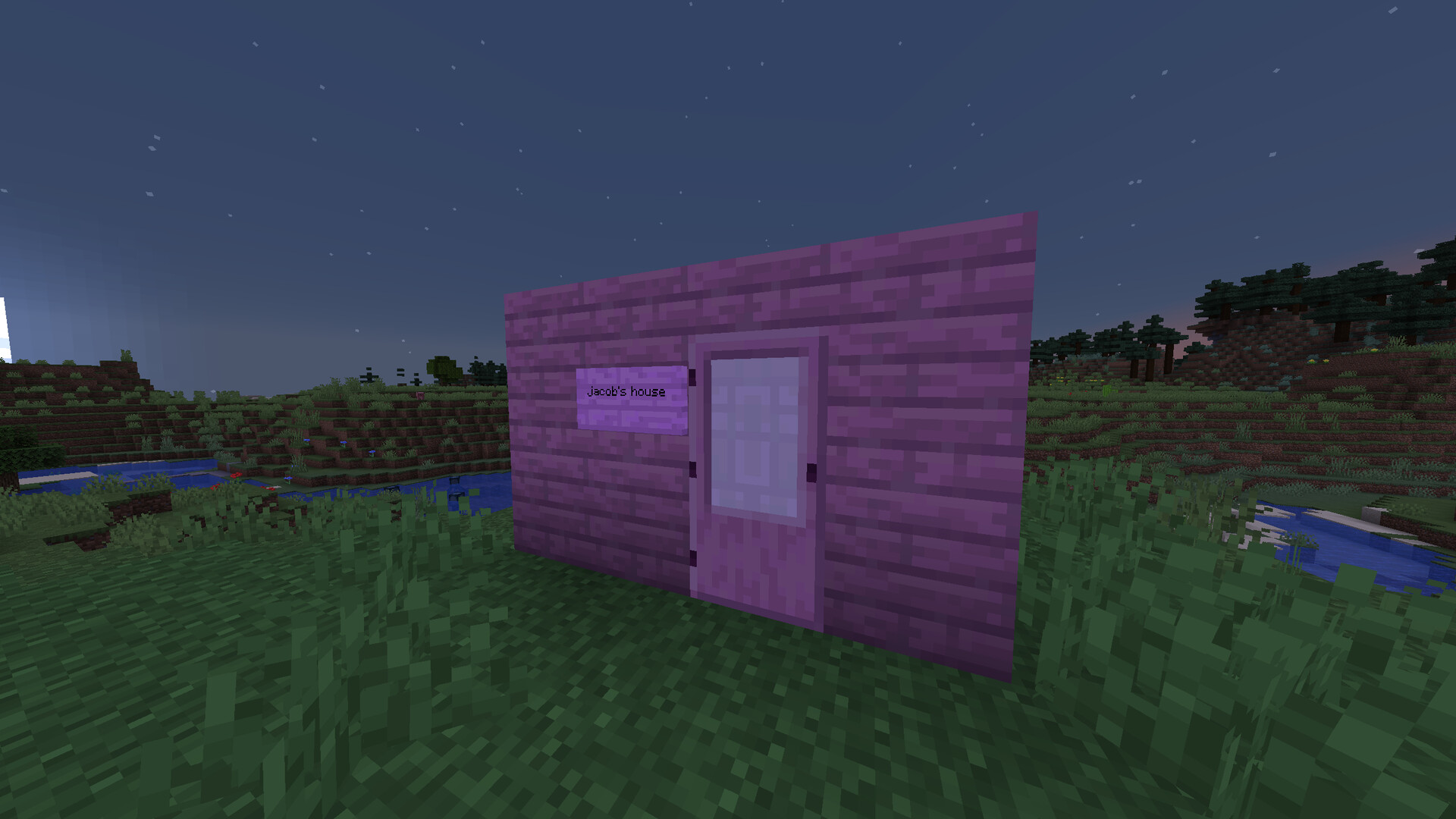 Pink Birch 1.16.5 Minecraft Texture Pack