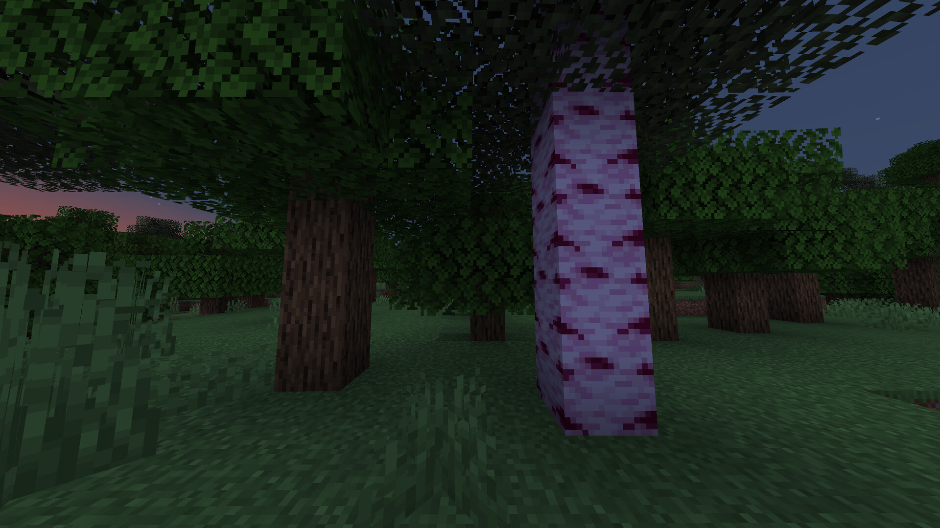 Pink Birch 1.16.5 Minecraft Texture Pack