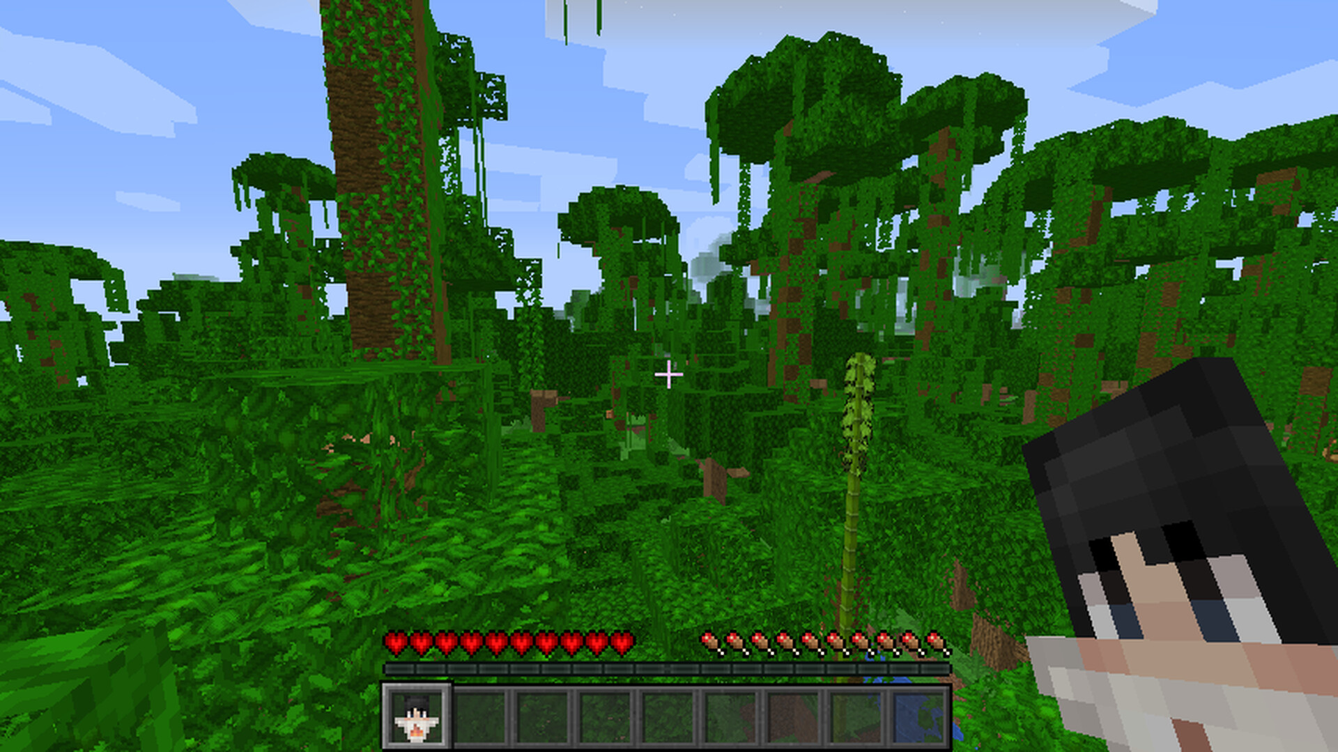 Sapnap Totem of Unying Minecraft Texture Pack