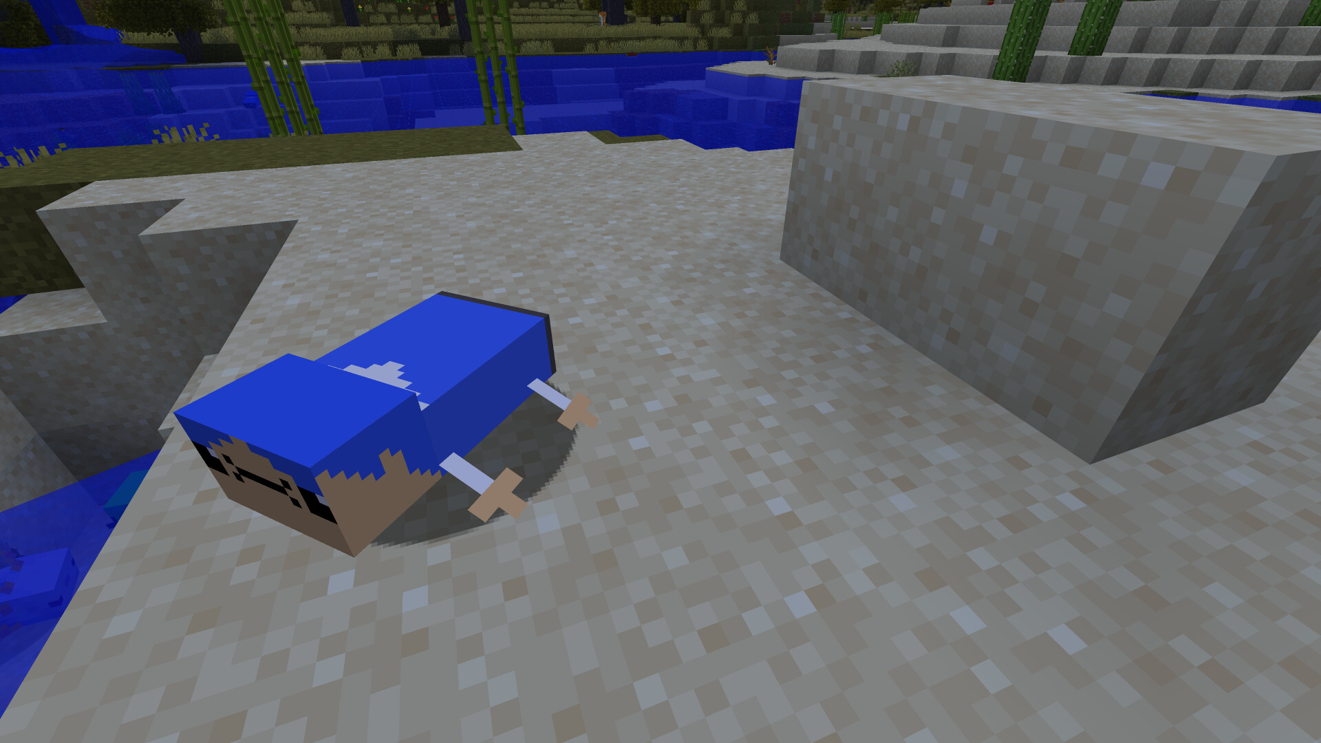 Lil Chonksolotls Minecraft Texture Pack