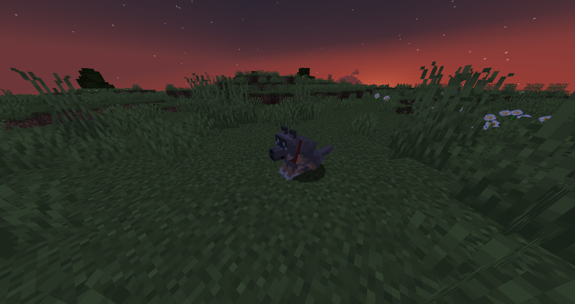 Darker Wolves by glagglog Minecraft Texture Pack