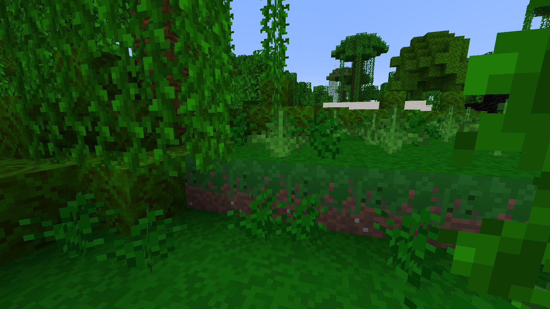 Primal SMP Pack Minecraft Texture Pack