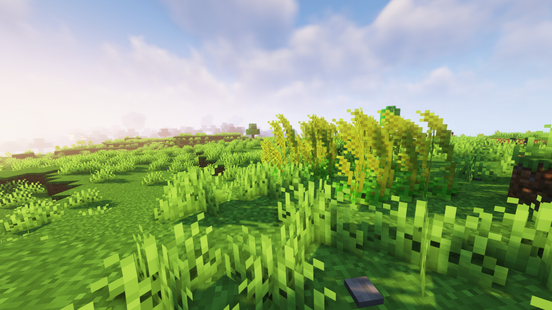 Enchanted Biomes Minecraft Texture Pack