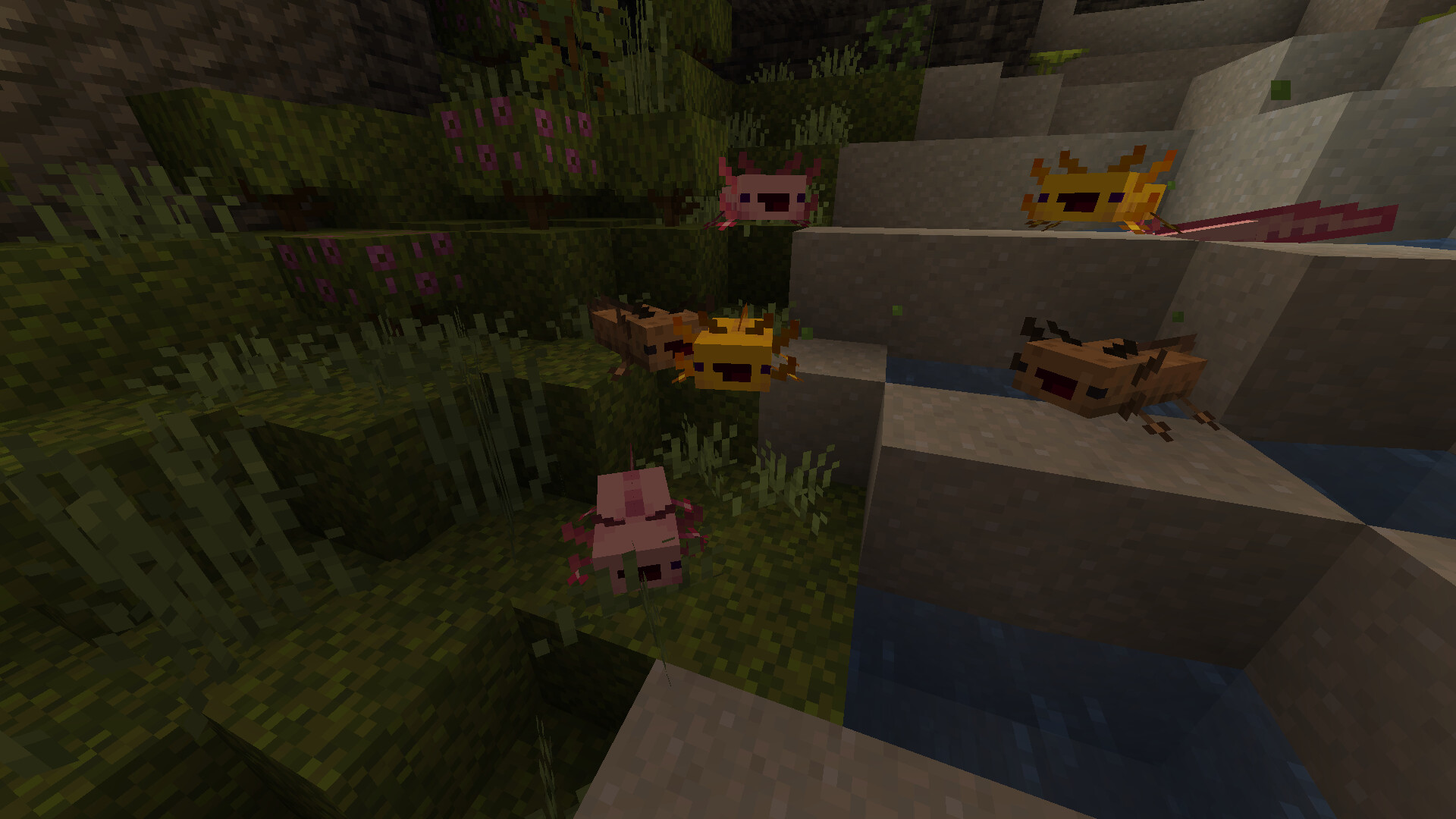 Derpy Axolotls Minecraft Texture Pack