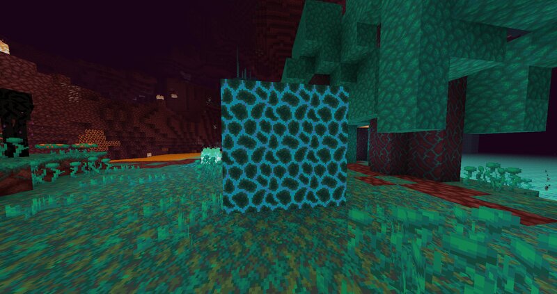 Faithful Addon: Diverse Nether Biomes. Minecraft Texture Pack