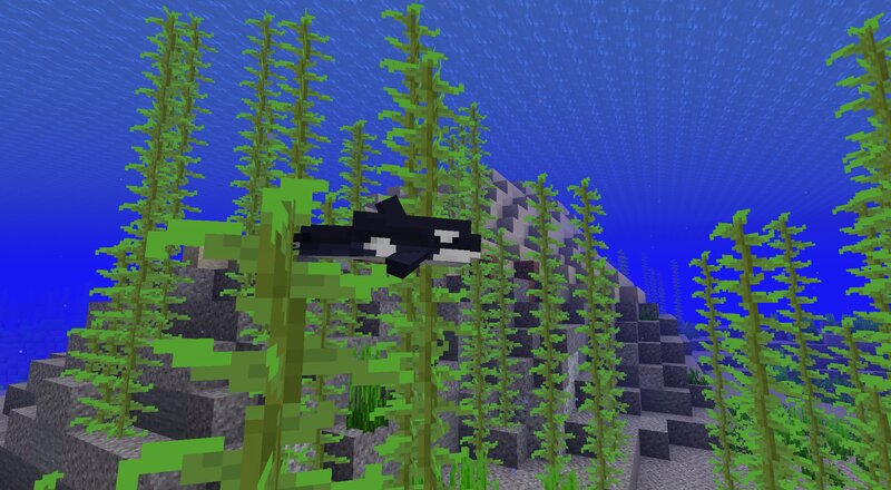 Dolphin+ Minecraft Texture Pack