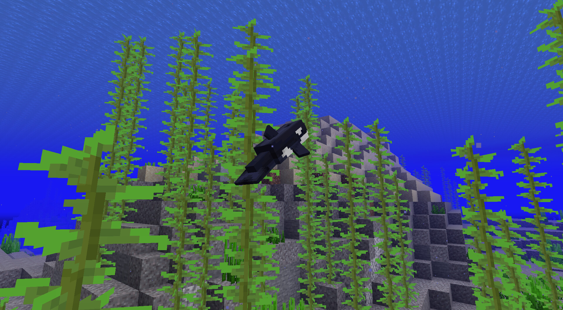 Dolphin+ Minecraft Texture Pack