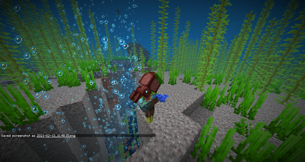 the Legend of the Monster Drowned Minecraft Texture Pack