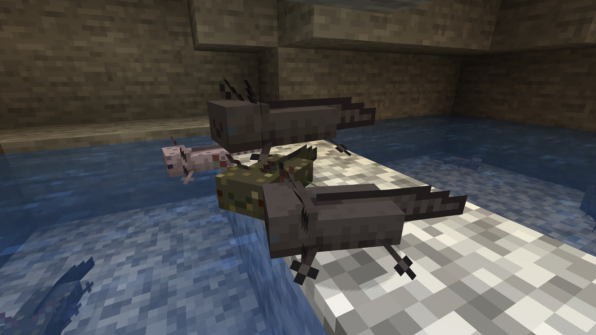 Joe's Improved Axolotls Smiley Edition Bedrock and Java Minecraft ...