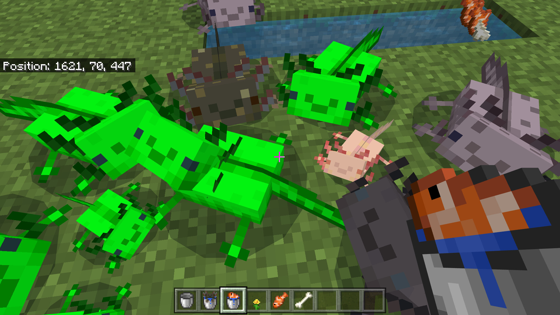 Joe's Improved Axolotls Smiley Edition Bedrock and Java Minecraft ...