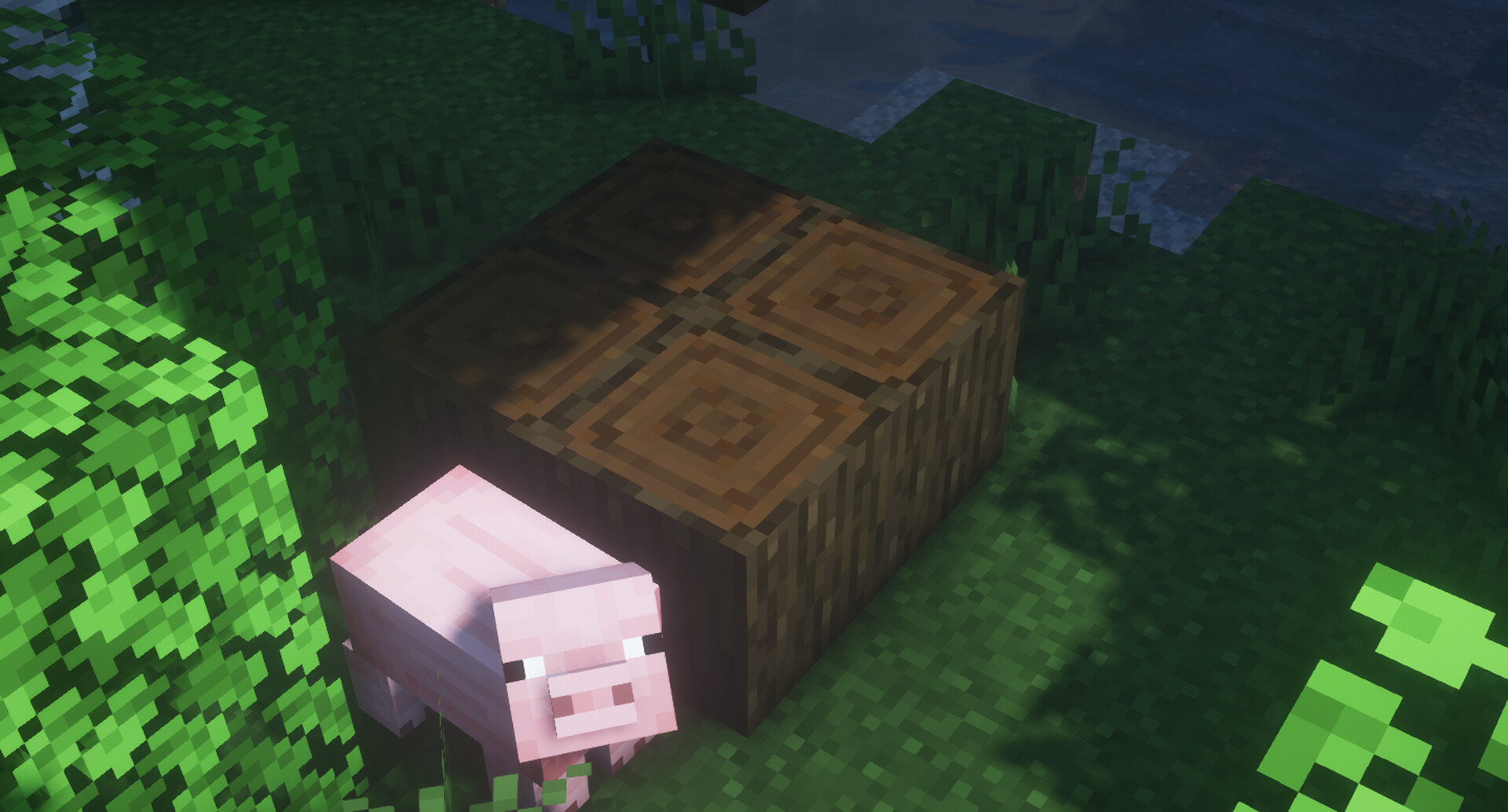 Circle Logs (ForeverVanilla) Minecraft Texture Pack