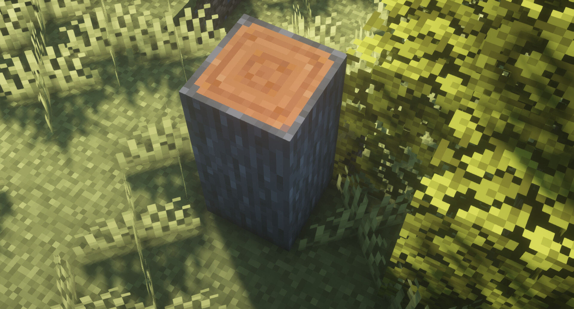 Circle Logs (ForeverVanilla) Minecraft Texture Pack
