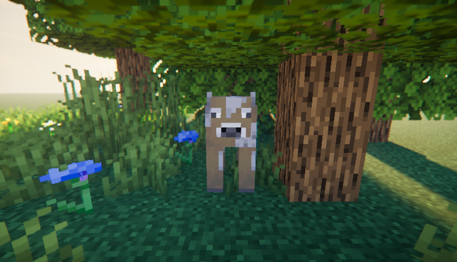 Cara-Milk | The sweet caramel texture pack [1.17+] Minecraft Texture Pack