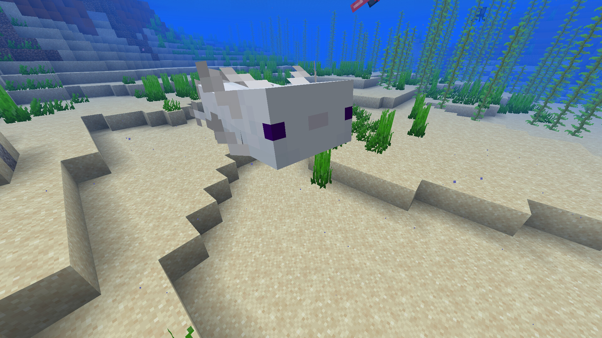 White Axolotl Variant Minecraft Texture Pack
